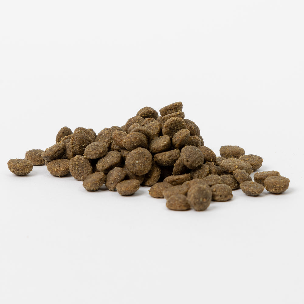 Raw Dog Food NZ | Natural Raw Pet Food Delivered – Go Raw – Go Raw Pet ...